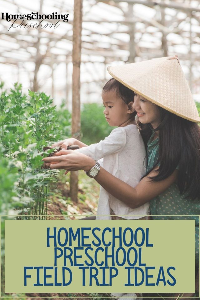 Homeschool Preschool Field Trip Ideas - Homeschooling Preschool