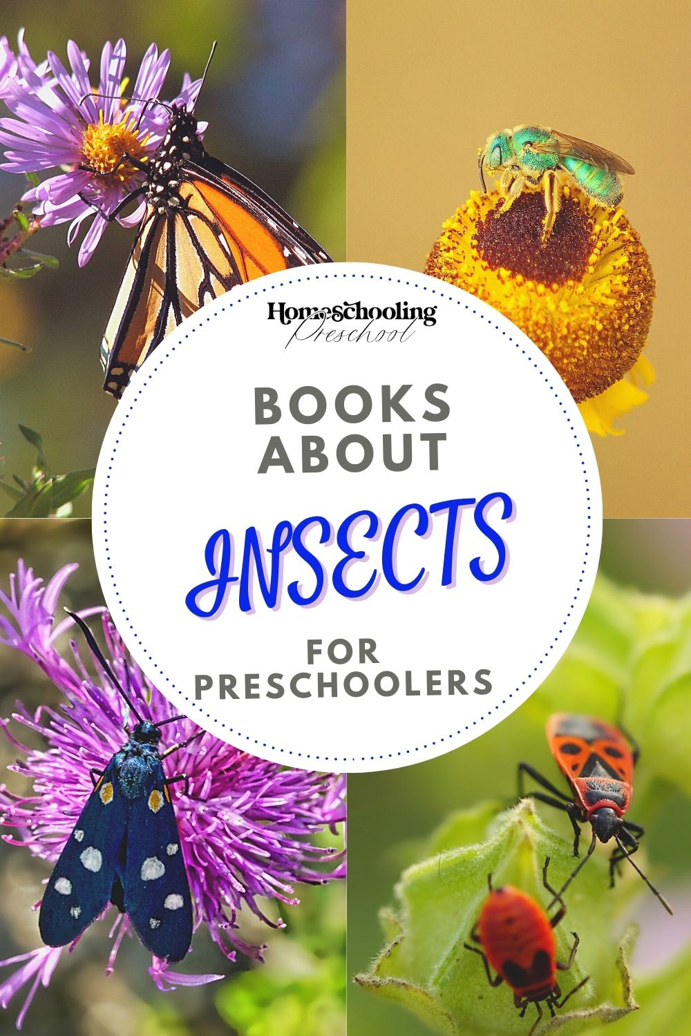 Books About Insects for Preschoolers - Homeschooling Preschool