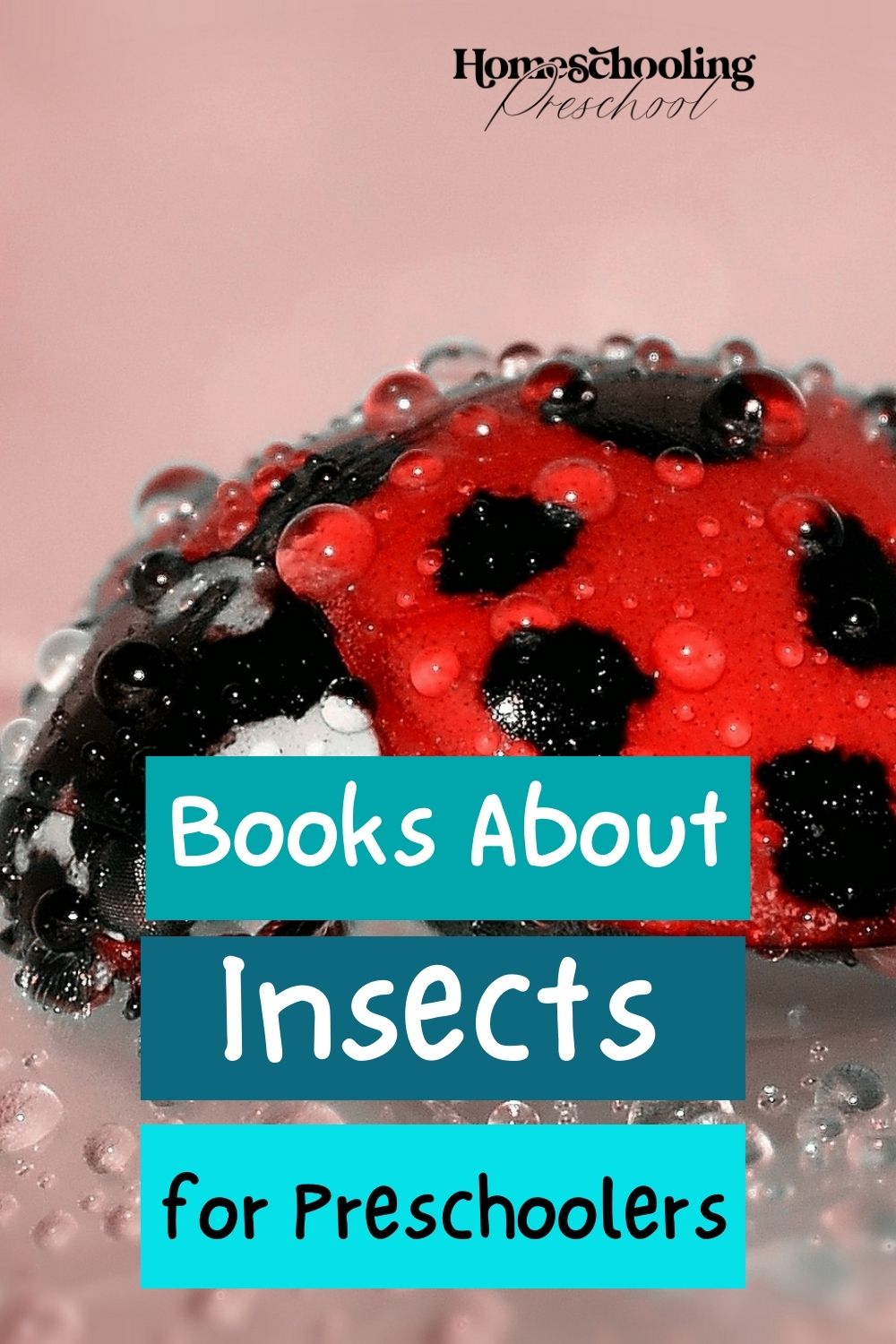 Books About Insects for Preschoolers - Homeschooling Preschool