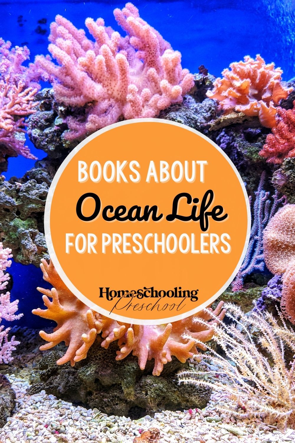 Books About Ocean Life for Preschoolers - Homeschooling Preschool