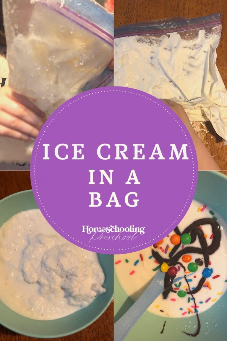 Ice Cream in a Bag - Homeschooling Preschool