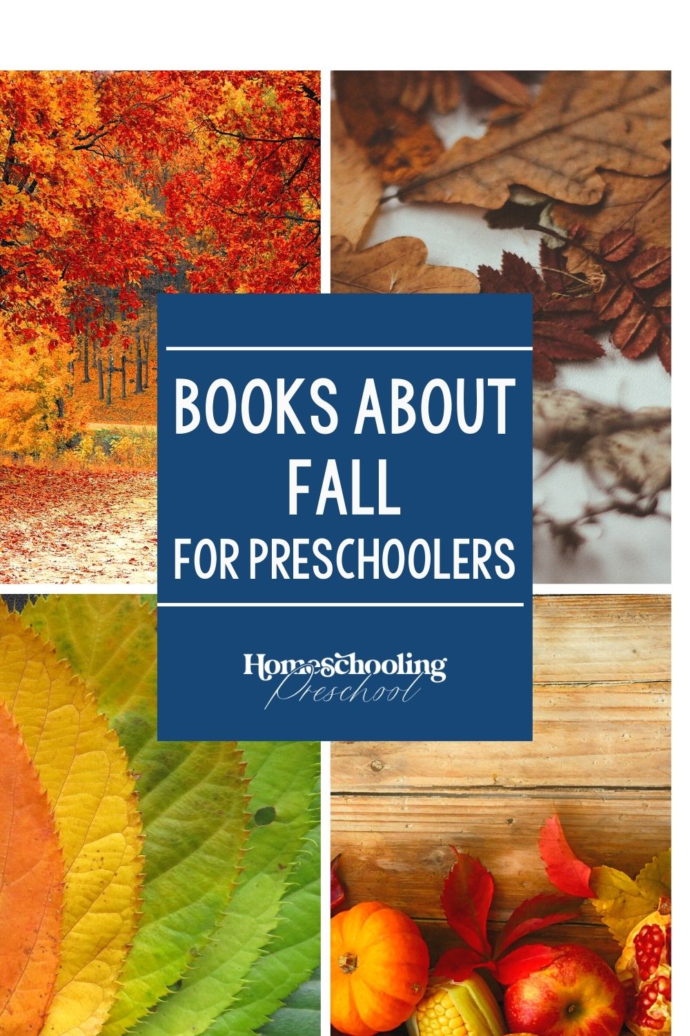 Books About Fall for Preschoolers - Homeschooling Preschool