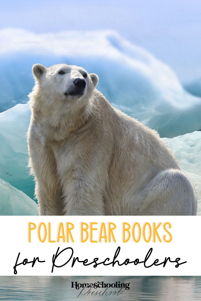 Books About Polar Bears for Preschoolers - Homeschooling Preschool