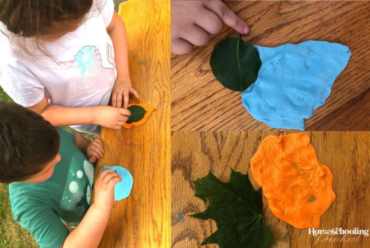 30+ Sorting Activities for Preschoolers - Homeschooling Preschool