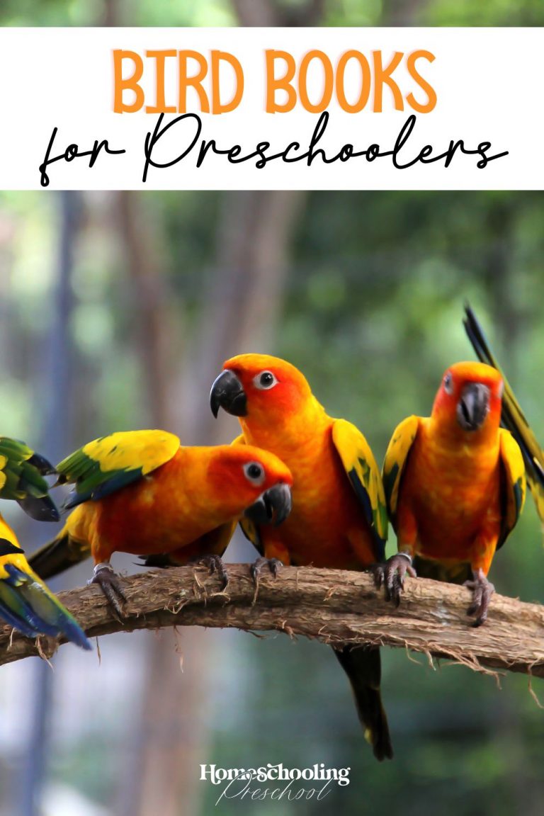 Books About Birds for Preschoolers - Homeschooling Preschool
