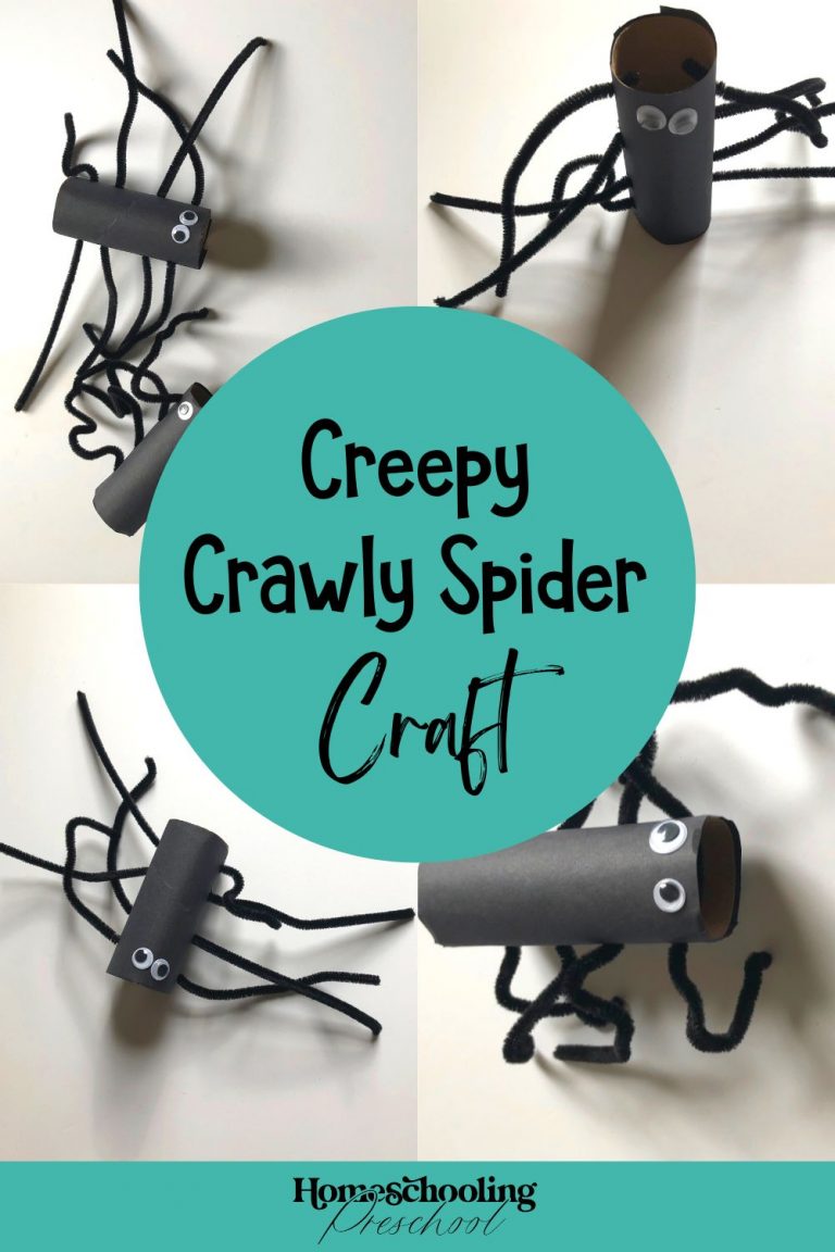Creepy Crawly Spider Craft - Homeschooling Preschool