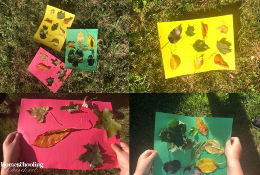 Leaf Collage Craft - Homeschooling Preschool