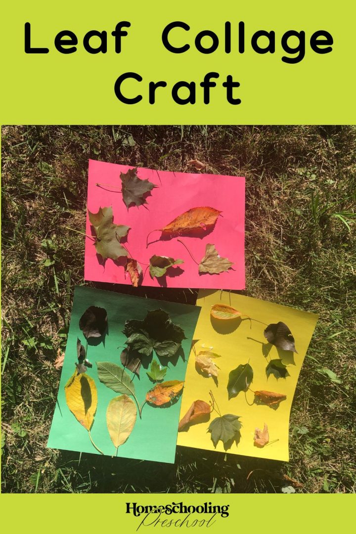Leaf Collage Craft - Homeschooling Preschool
