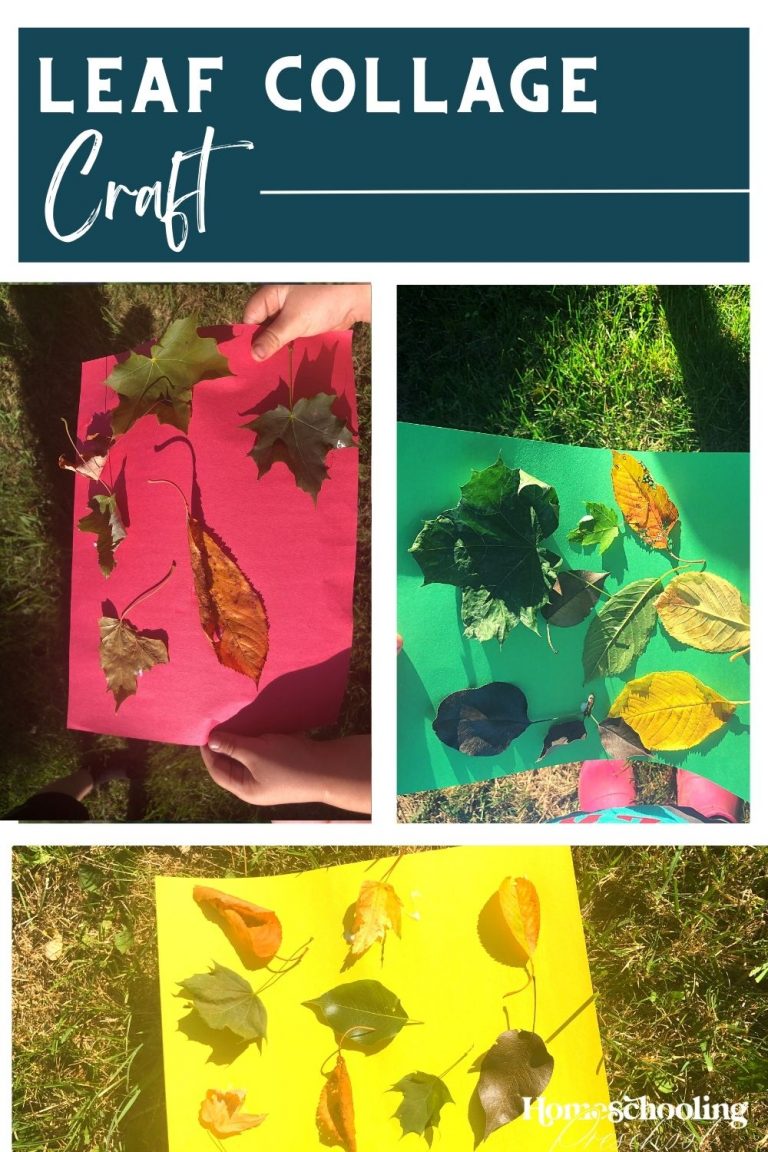 Leaf Collage Craft - Homeschooling Preschool