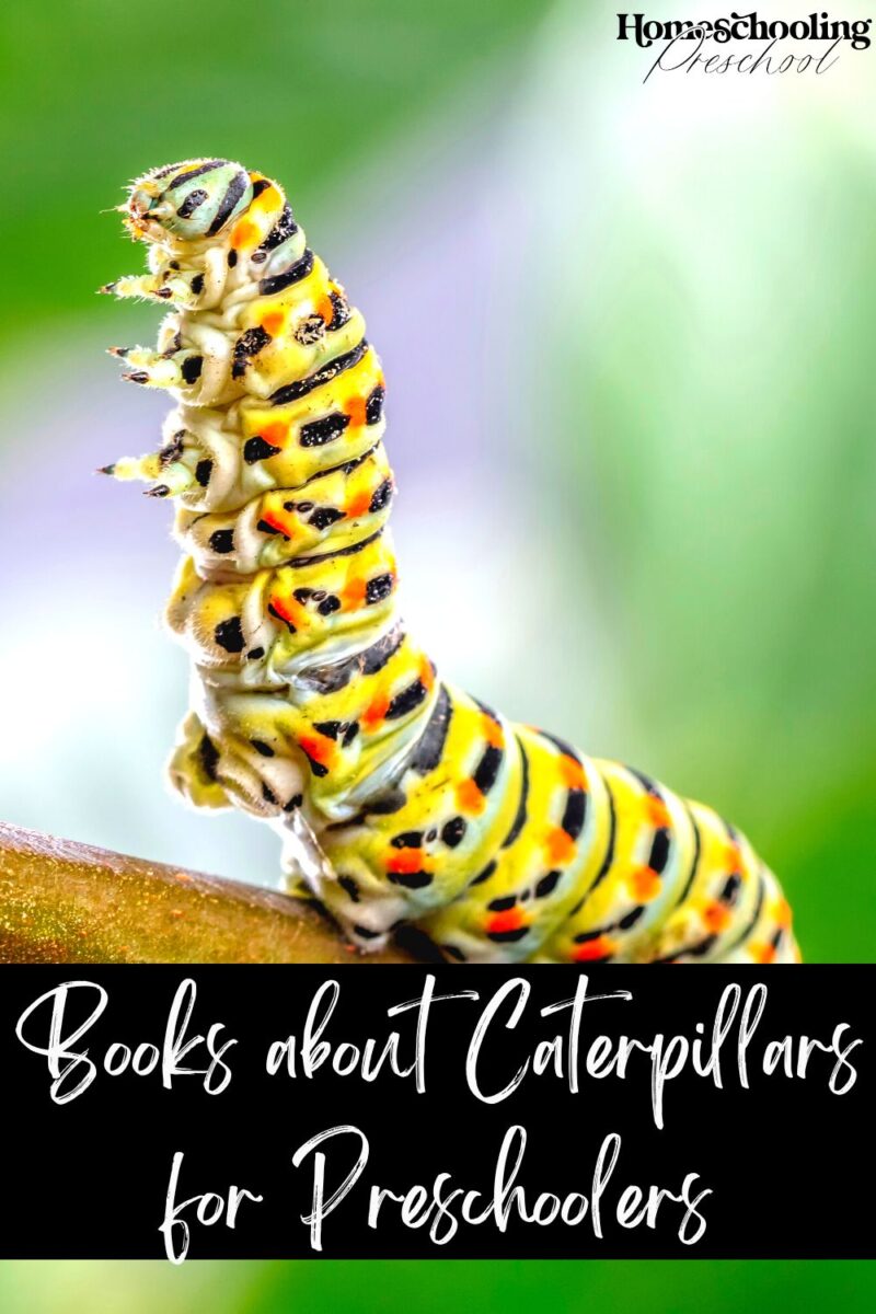 Children's Books About Caterpillars - Homeschooling Preschool