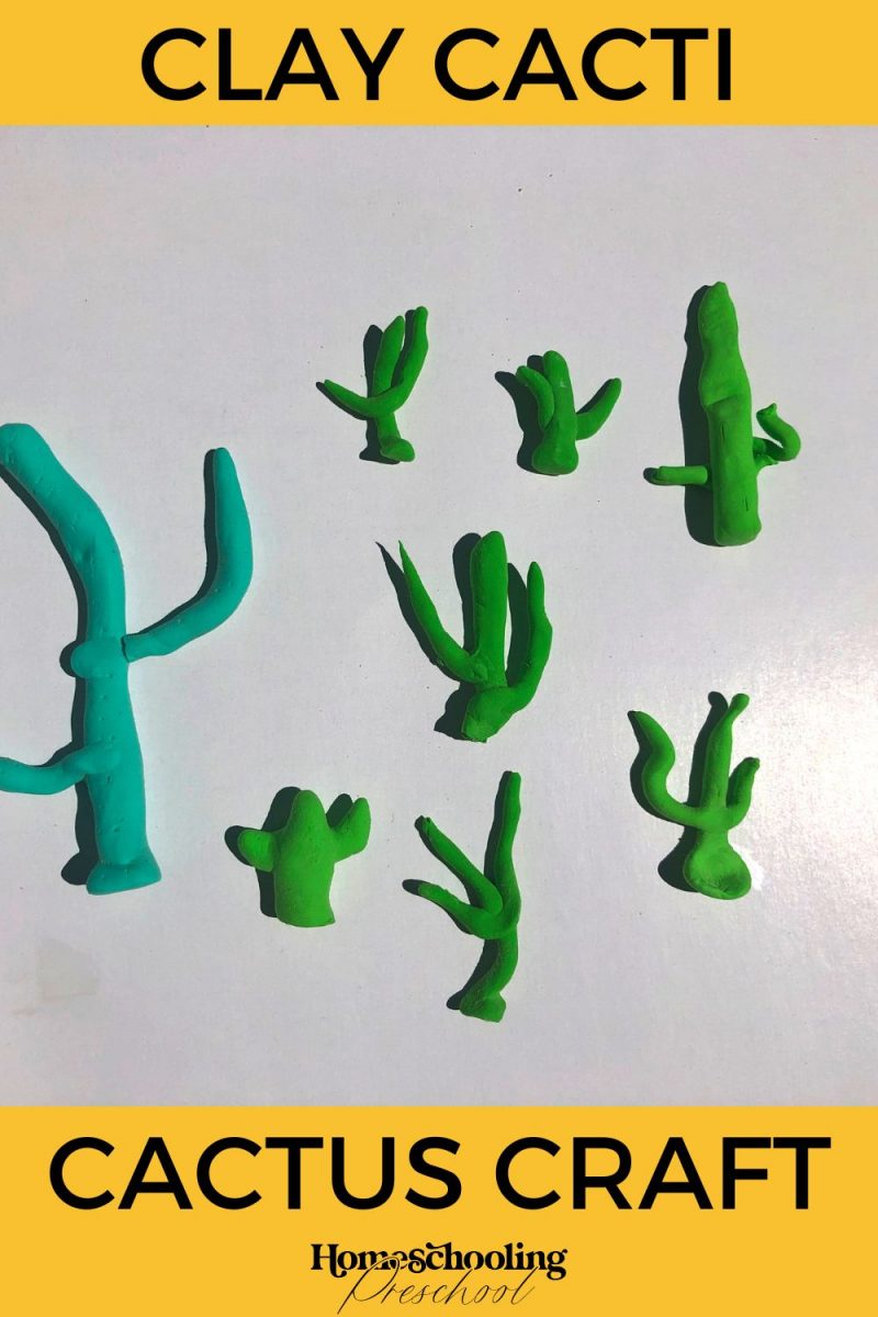 Clay Cacti Cactus Craft - Homeschooling Preschool