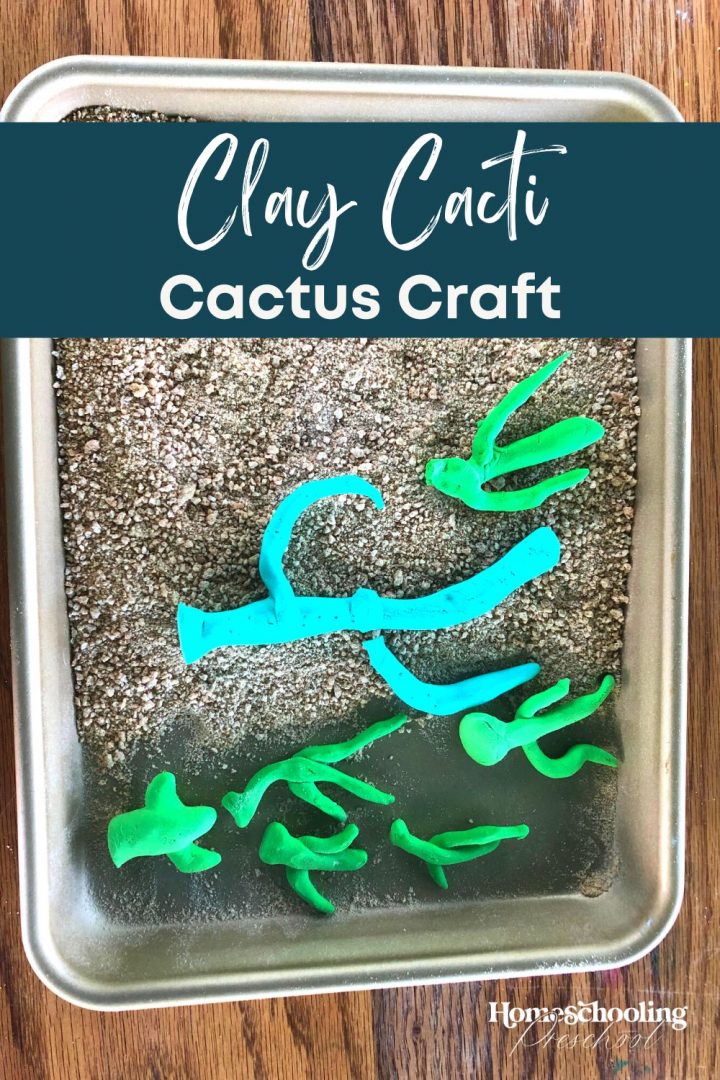 Clay Cacti Cactus Craft - Homeschooling Preschool