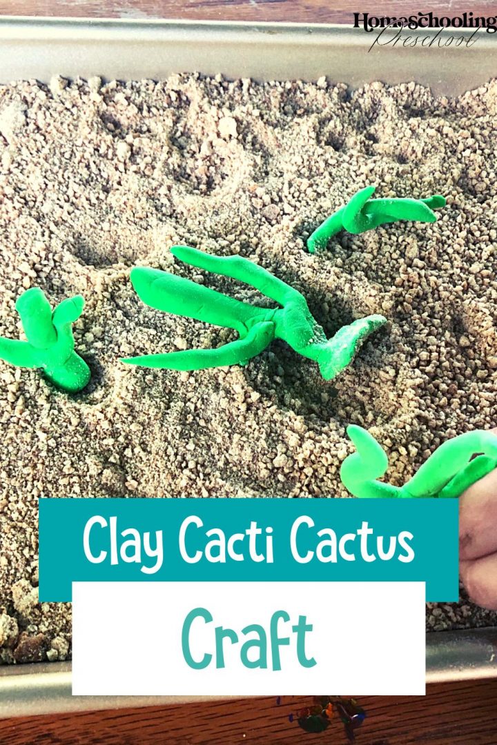 Clay Cacti Cactus Craft - Homeschooling Preschool