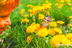 5 Fun Ways to Teach Kids about Insects - Homeschooling Preschool