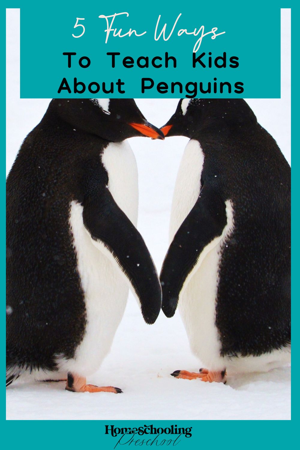 5 Fun Ways to Teach Kids about Penguins - Homeschooling Preschool