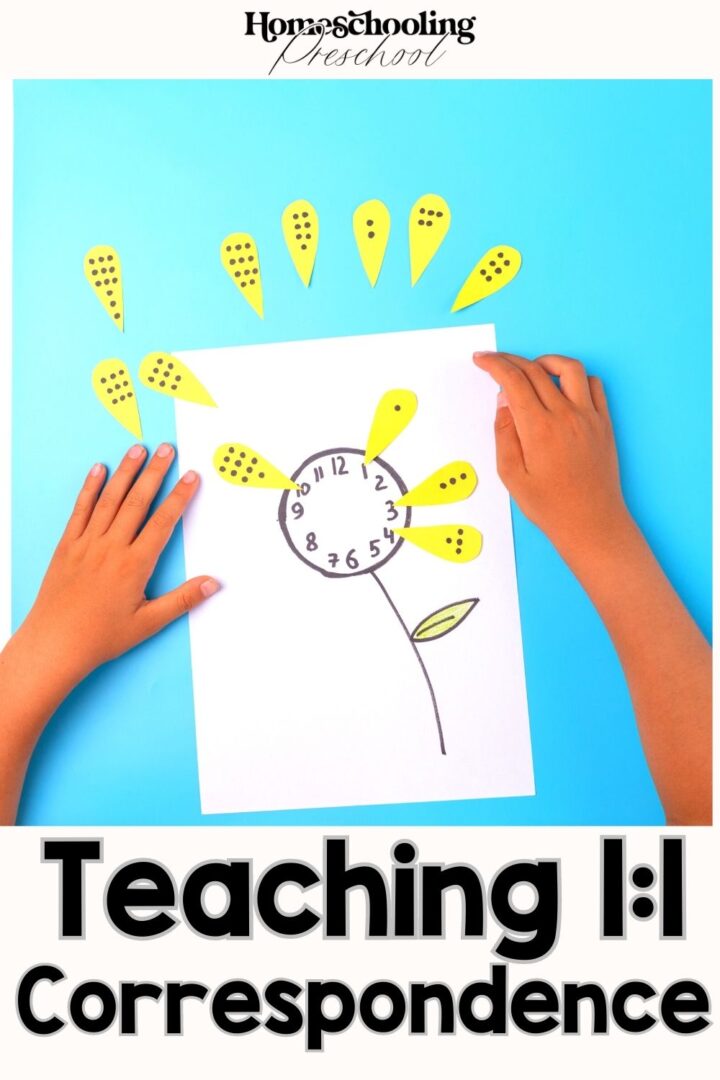 Teaching 1 to 1 Correspondence - Homeschooling Preschool