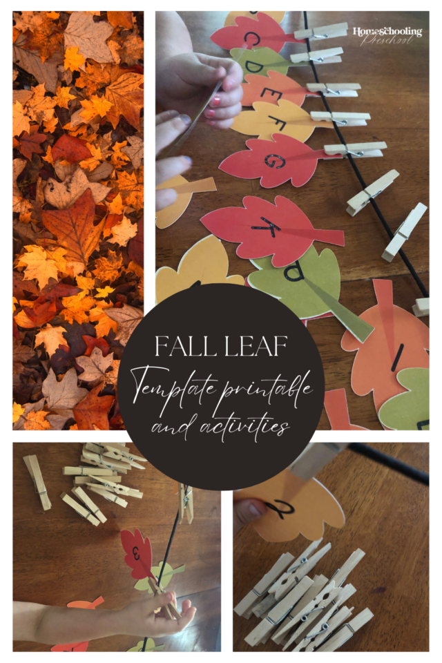Fall Leaf Template Printable and Activities - Homeschooling Preschool