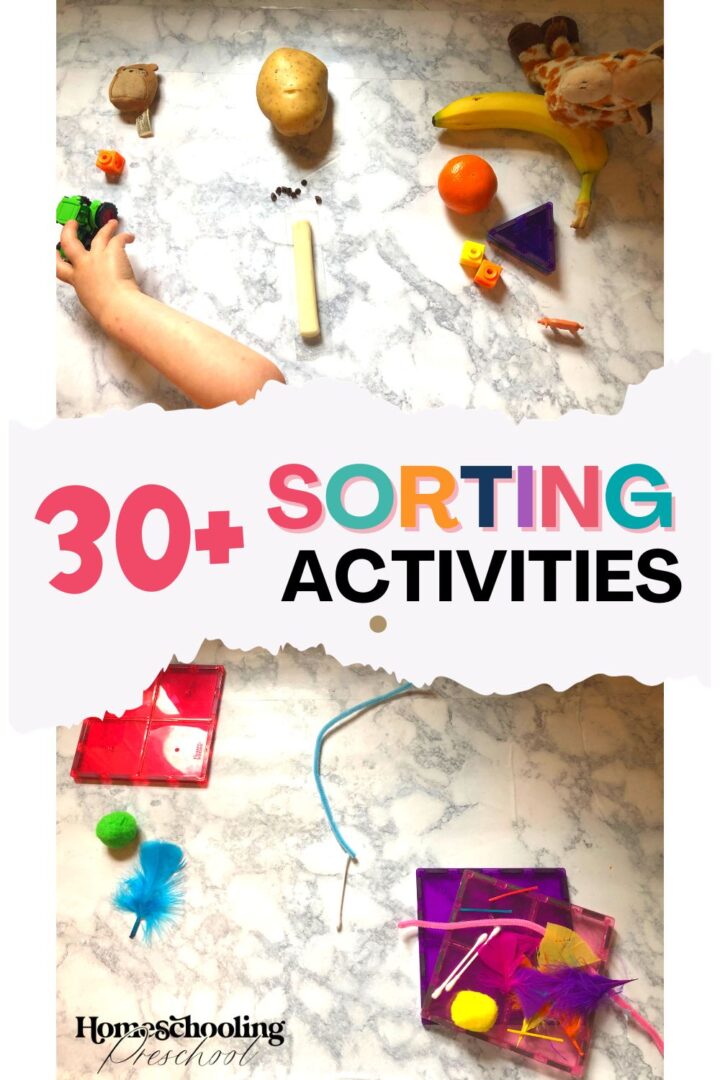 30+ Sorting Activities for Preschoolers - Homeschooling Preschool