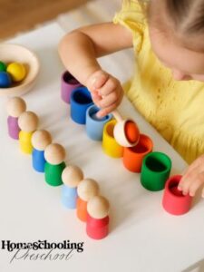 30+ Sorting Activities for Preschoolers - Homeschooling Preschool