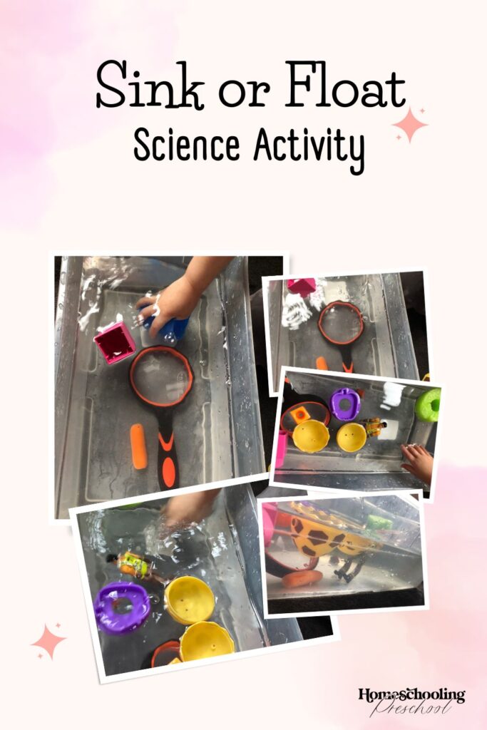 Sink or Float Science Activity - Homeschooling Preschool