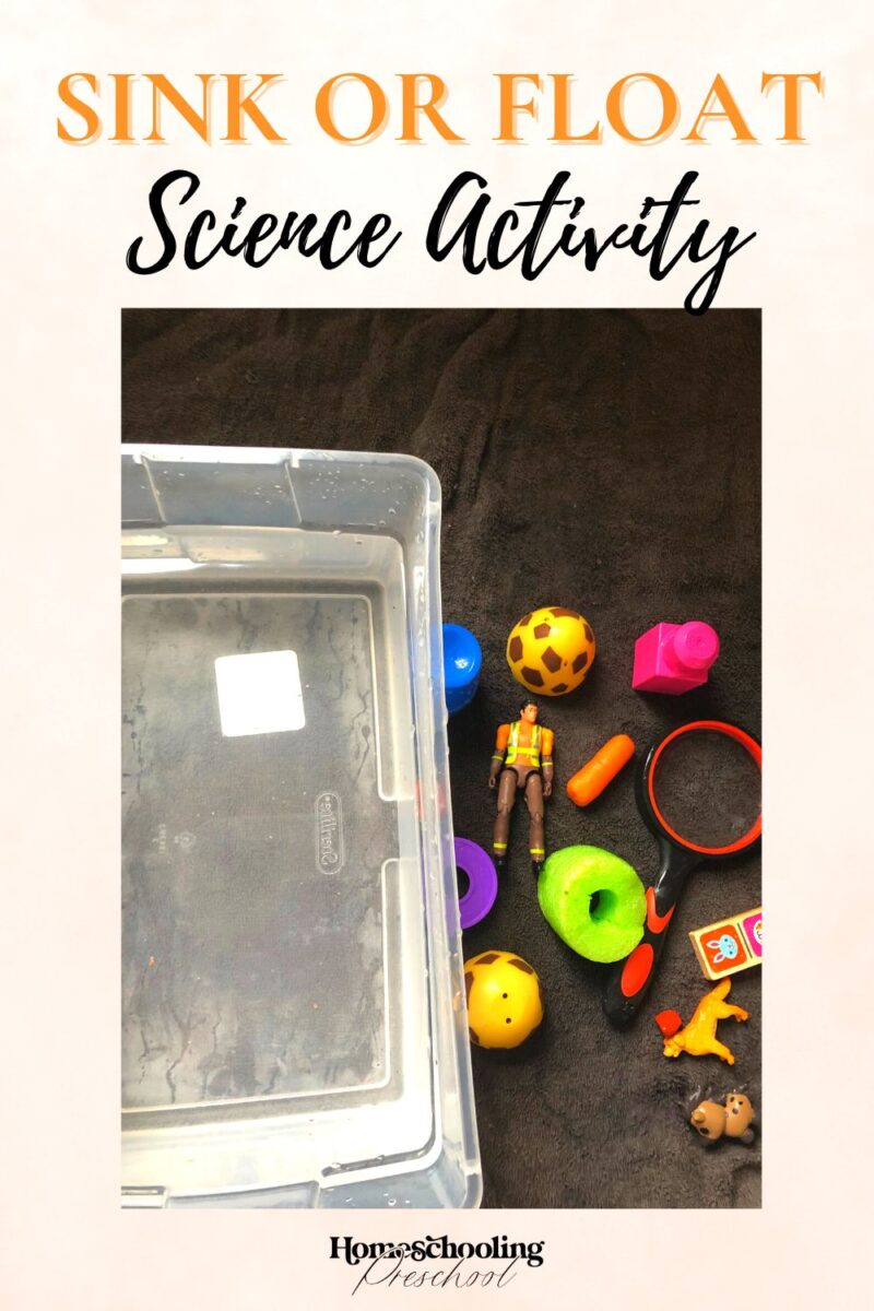 Sink or Float Science Activity - Homeschooling Preschool