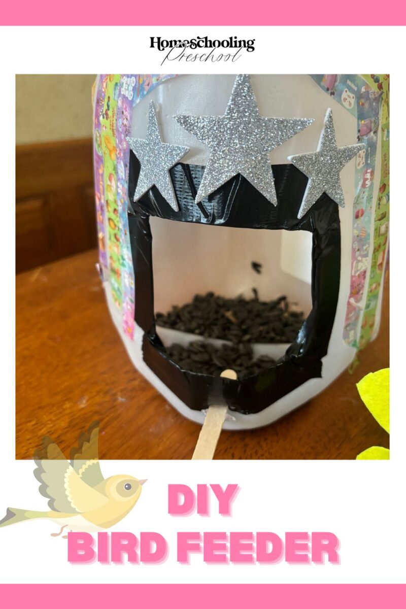 DIY Bird Feeder - Homeschooling Preschool