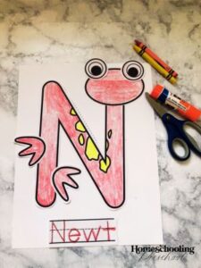 Letter N Craft: Newt Activity - Homeschooling Preschool