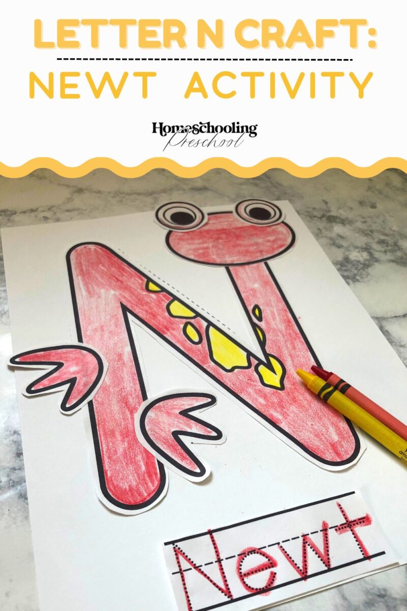 Letter N Craft: Newt Activity - Homeschooling Preschool