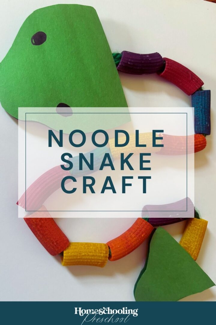 Noodle Snake Craft - Homeschooling Preschool