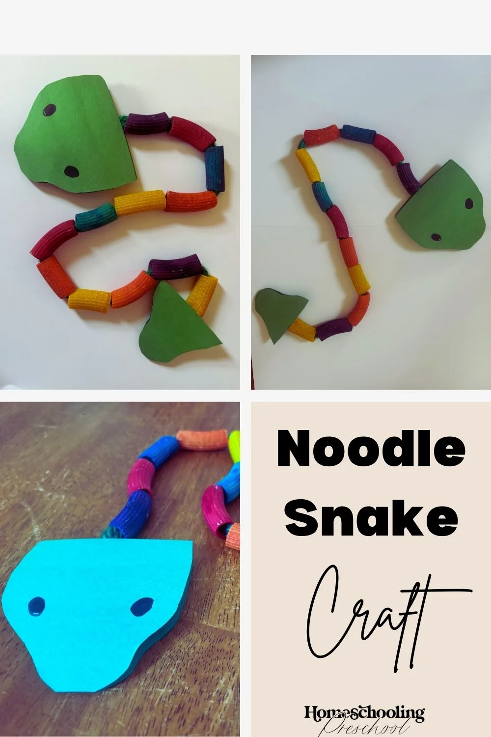 Noodle Snake Craft - Homeschooling Preschool