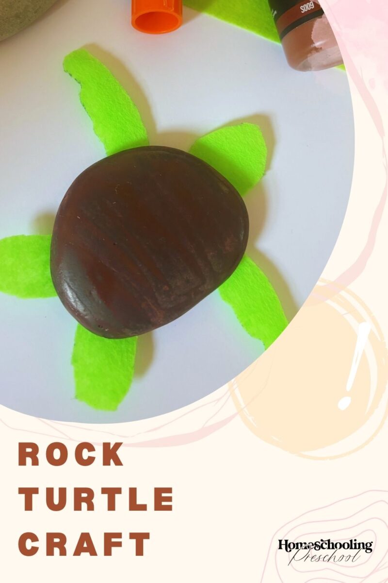 Rock Turtle Craft - Homeschooling Preschool