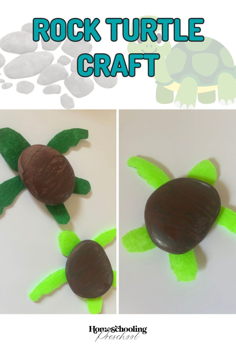 Rock Turtle Craft - Homeschooling Preschool