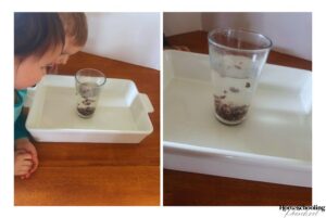 Dancing Raisins Science Experiment - Homeschooling Preschool