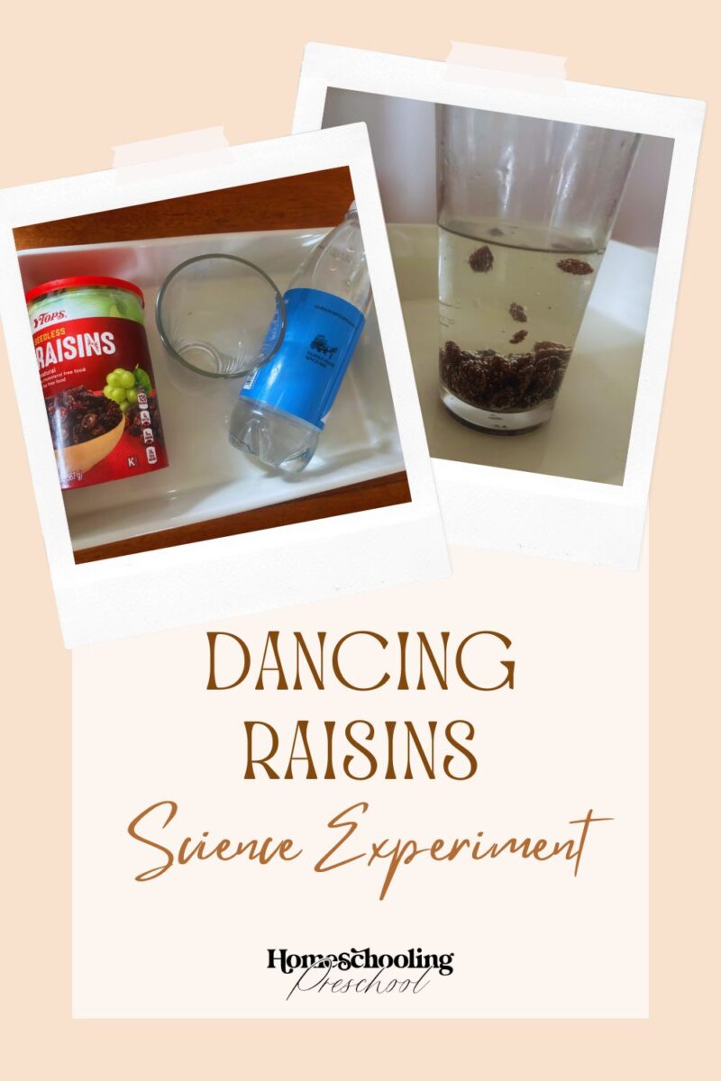 Dancing Raisins Science Experiment - Homeschooling Preschool