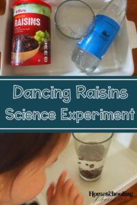 Dancing Raisins Science Experiment - Homeschooling Preschool