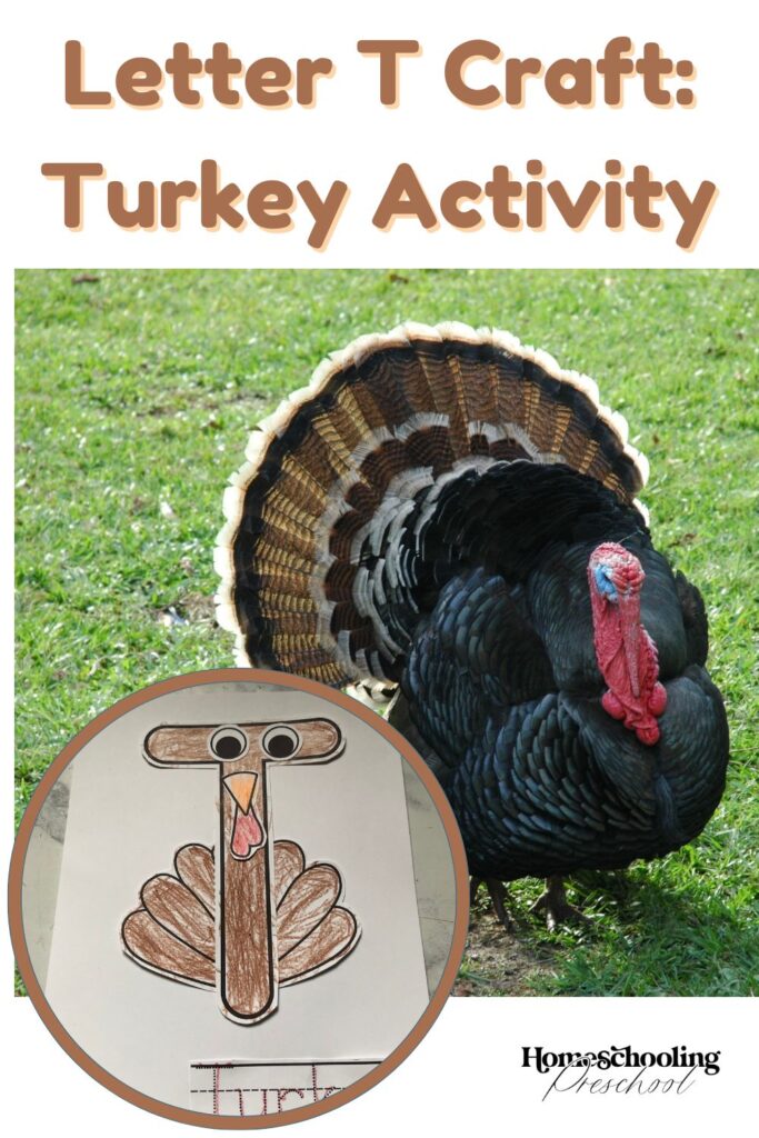 Letter T Craft: Turkey Activity - Homeschooling Preschool