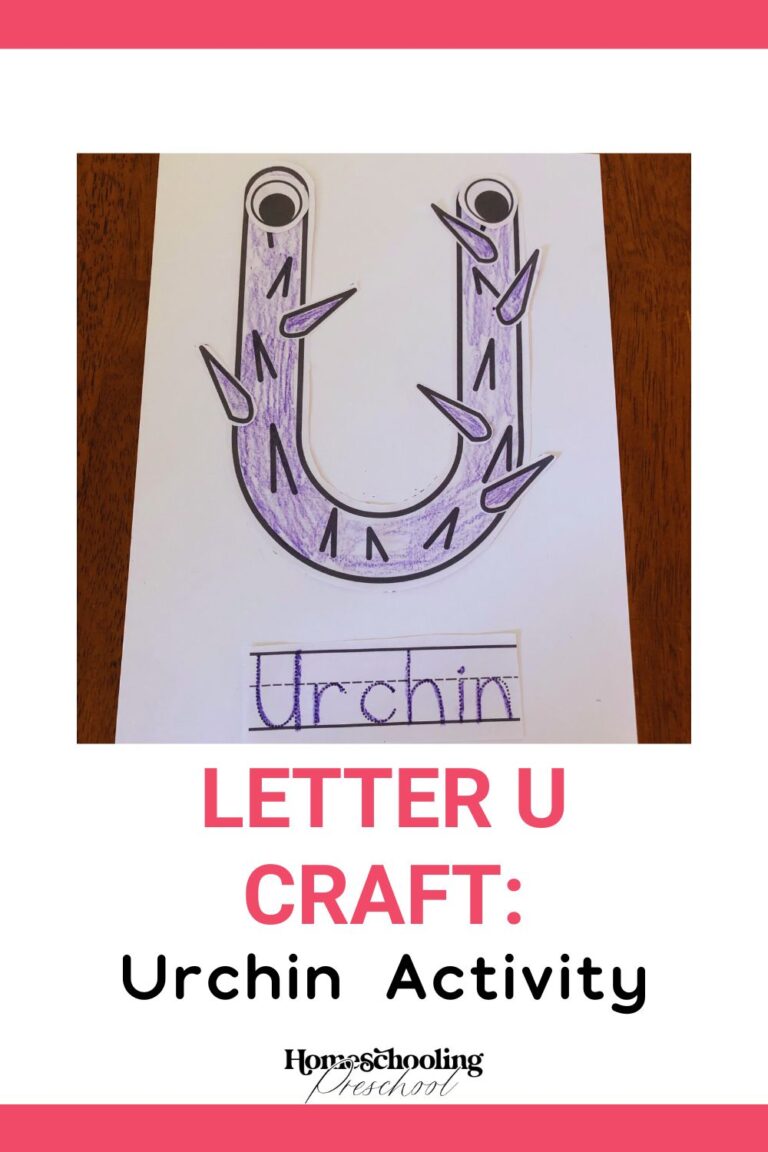 Letter U Craft: Urchin Activity - Homeschooling Preschool