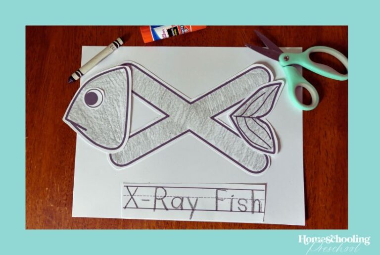 Letter X Craft: X-Ray Fish Activity - Homeschooling Preschool