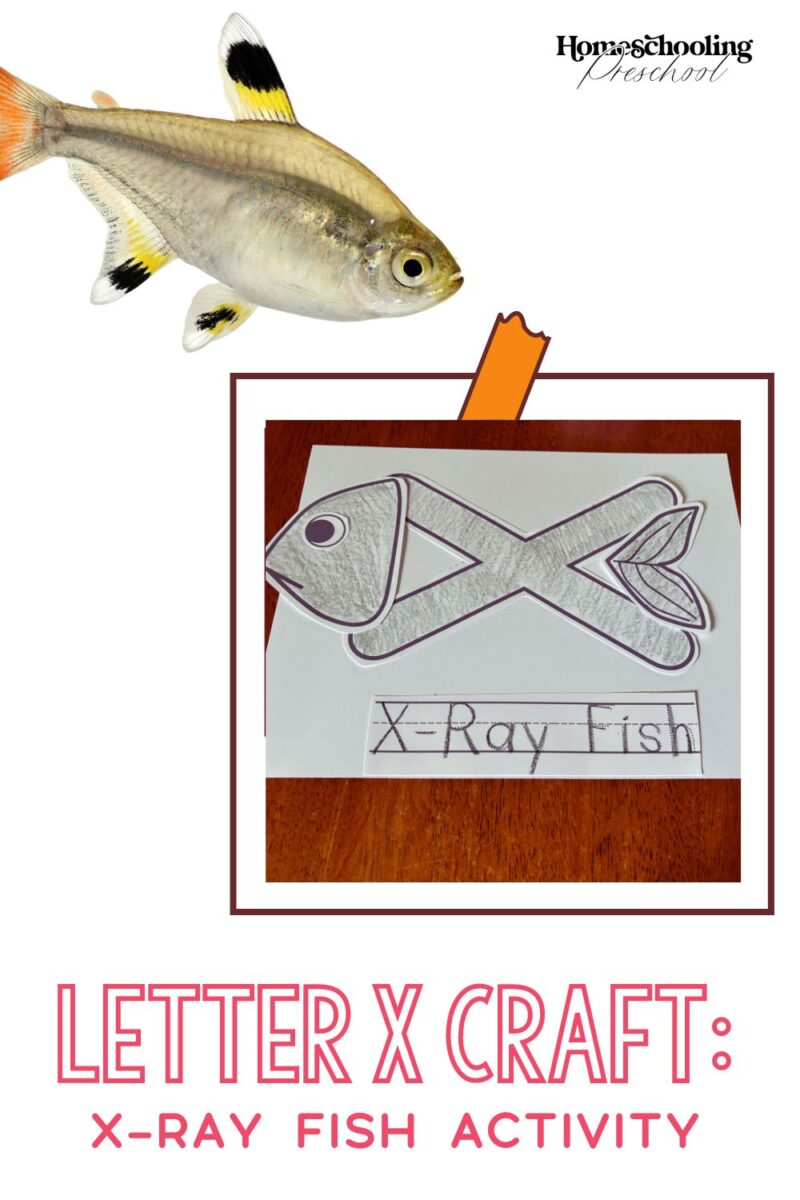 Letter X Craft: X-Ray Fish Activity - Homeschooling Preschool