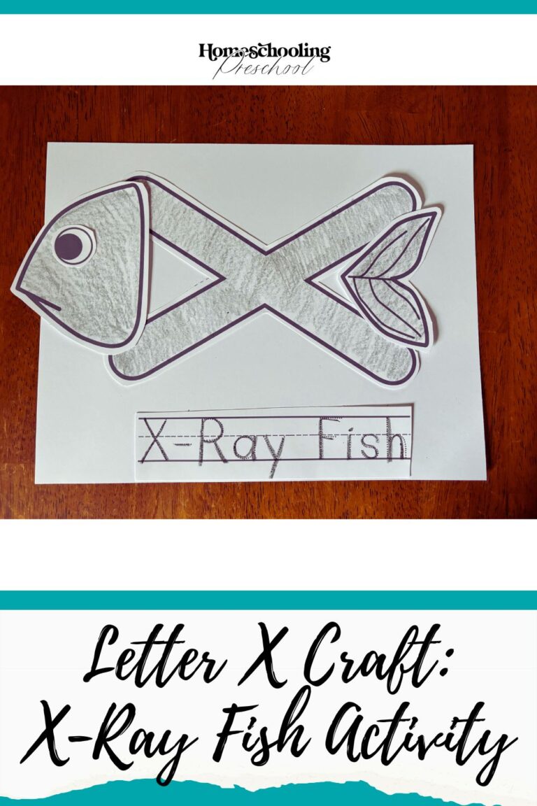Letter X Craft: X-Ray Fish Activity - Homeschooling Preschool