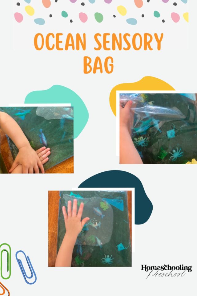 Ocean Sensory Bag - Homeschooling Preschool