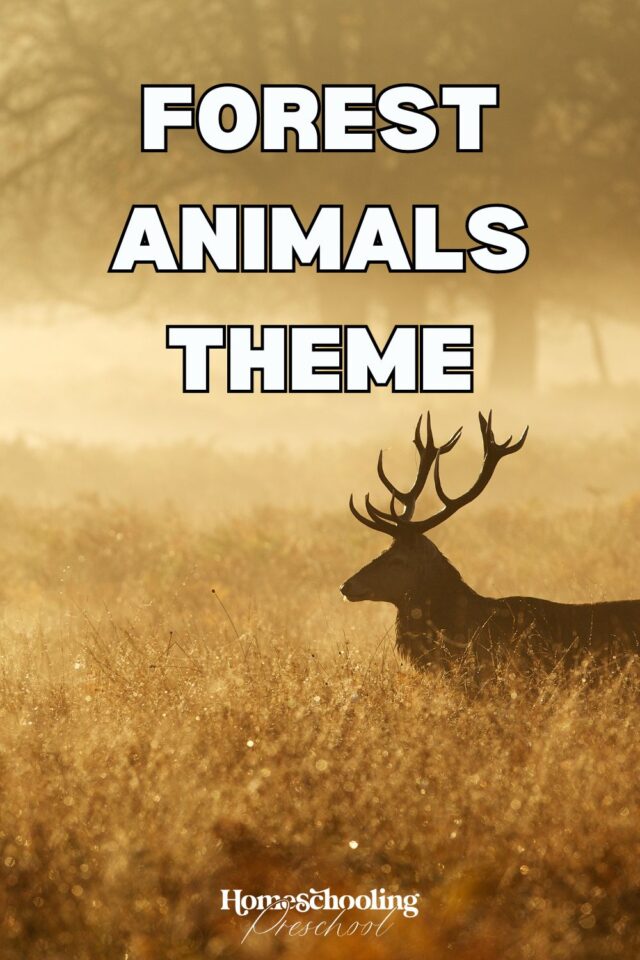 Forest Animals Theme - Homeschooling Preschool