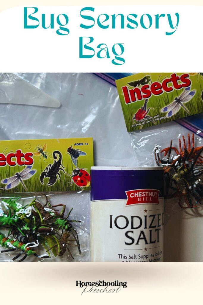 Bug Sensory Bag - Homeschooling Preschool