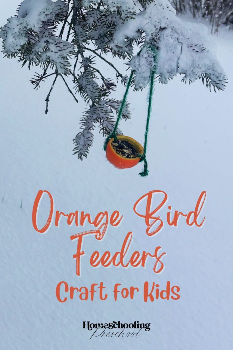 Orange Bird Feeder Craft - Homeschooling Preschool