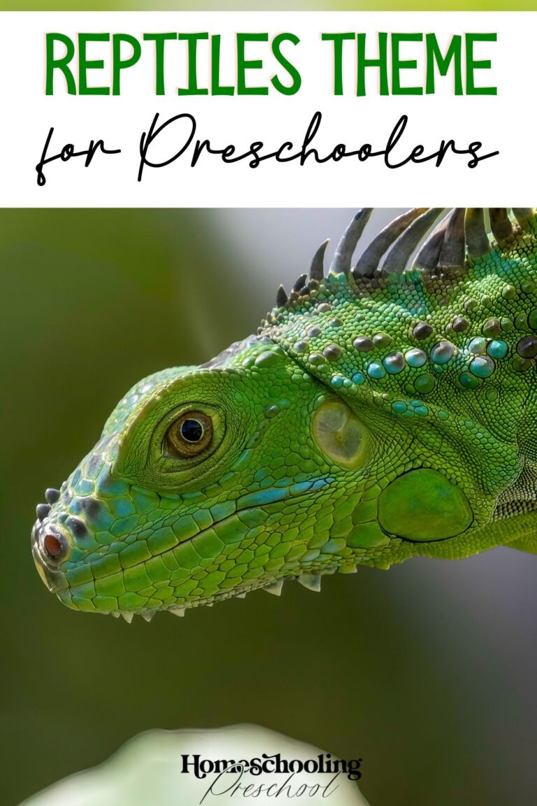 Reptiles Theme for Preschoolers - Homeschooling Preschool