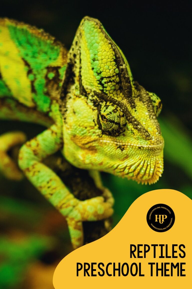 Reptiles Theme for Preschoolers - Homeschooling Preschool