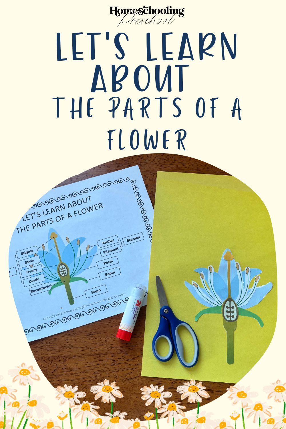 Let's Learn about Parts of a Flower - Homeschooling Preschool