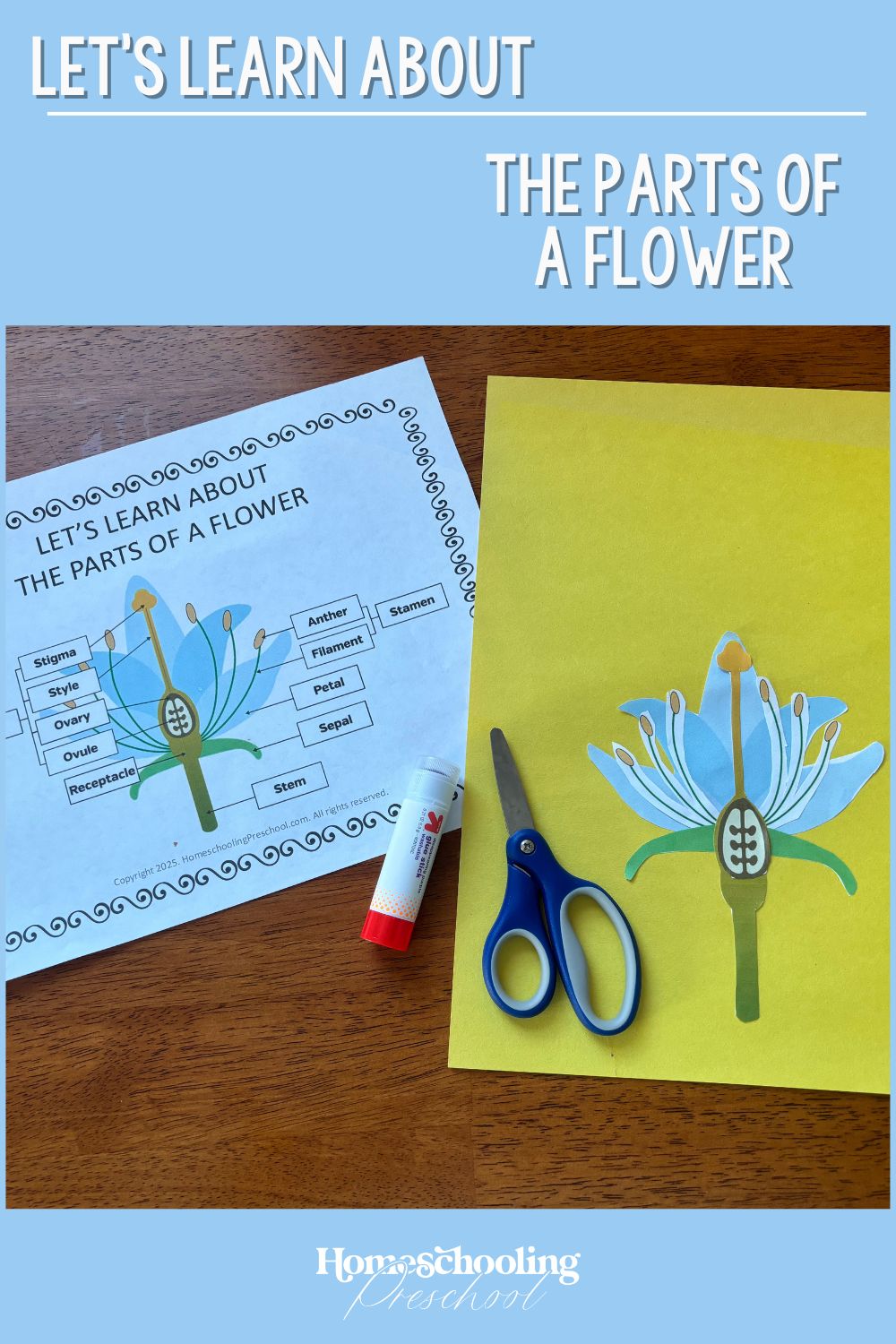 Let's Learn about Parts of a Flower - Homeschooling Preschool