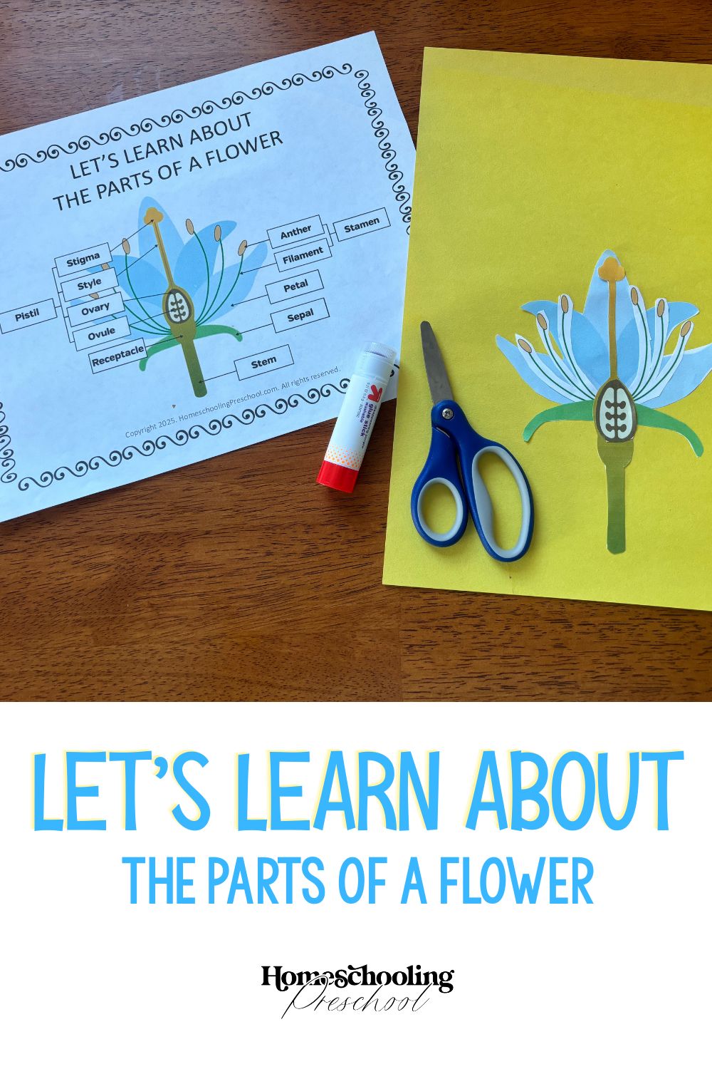 Let's Learn about Parts of a Flower - Homeschooling Preschool